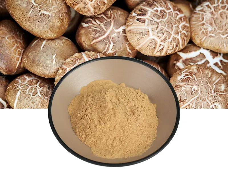 Shiitake Extract 30% Polysaccharides: A Natural Immune Enhancer ...