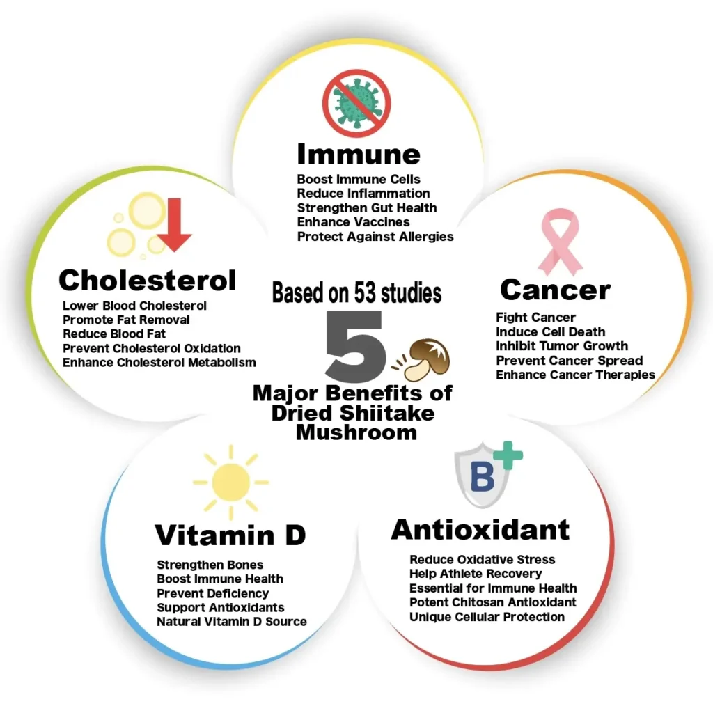 Shiitake Extract 30% Polysaccharides: A Natural Immune Enhancer ...